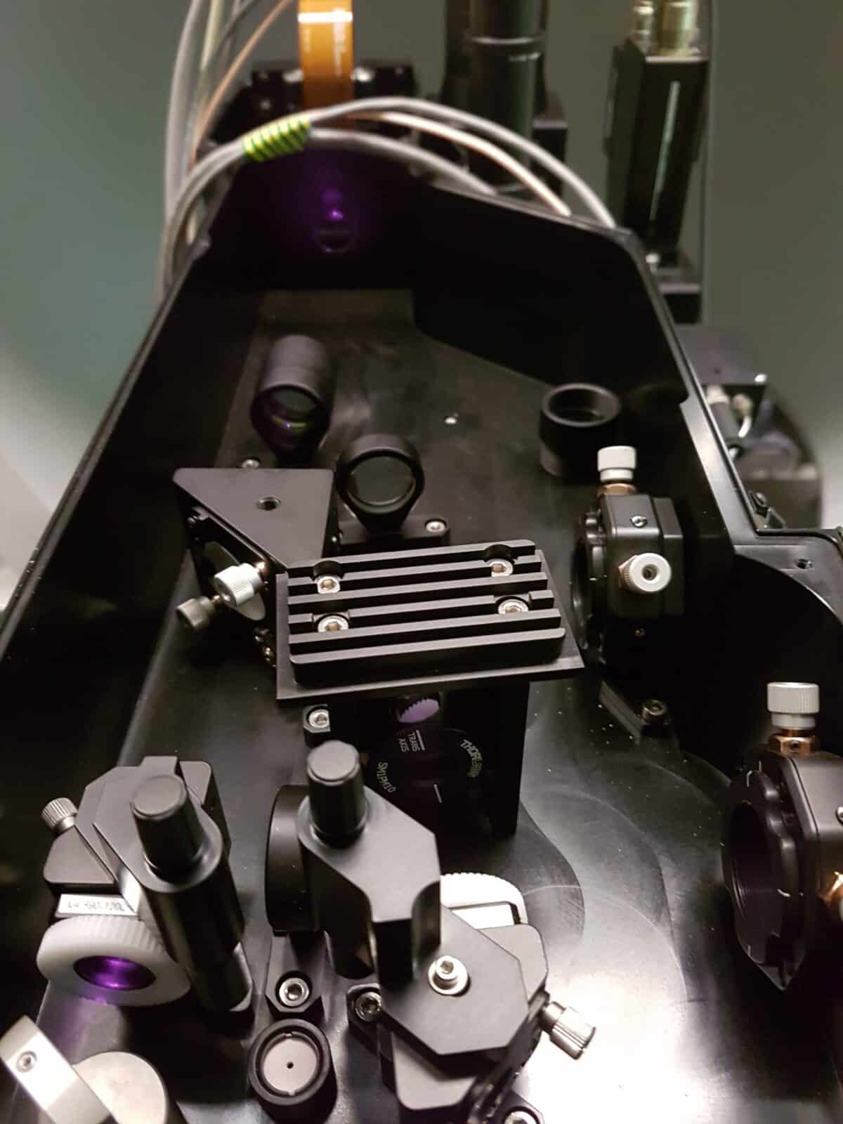 In-Vivo All-Optical Interrogation of Neural Networks