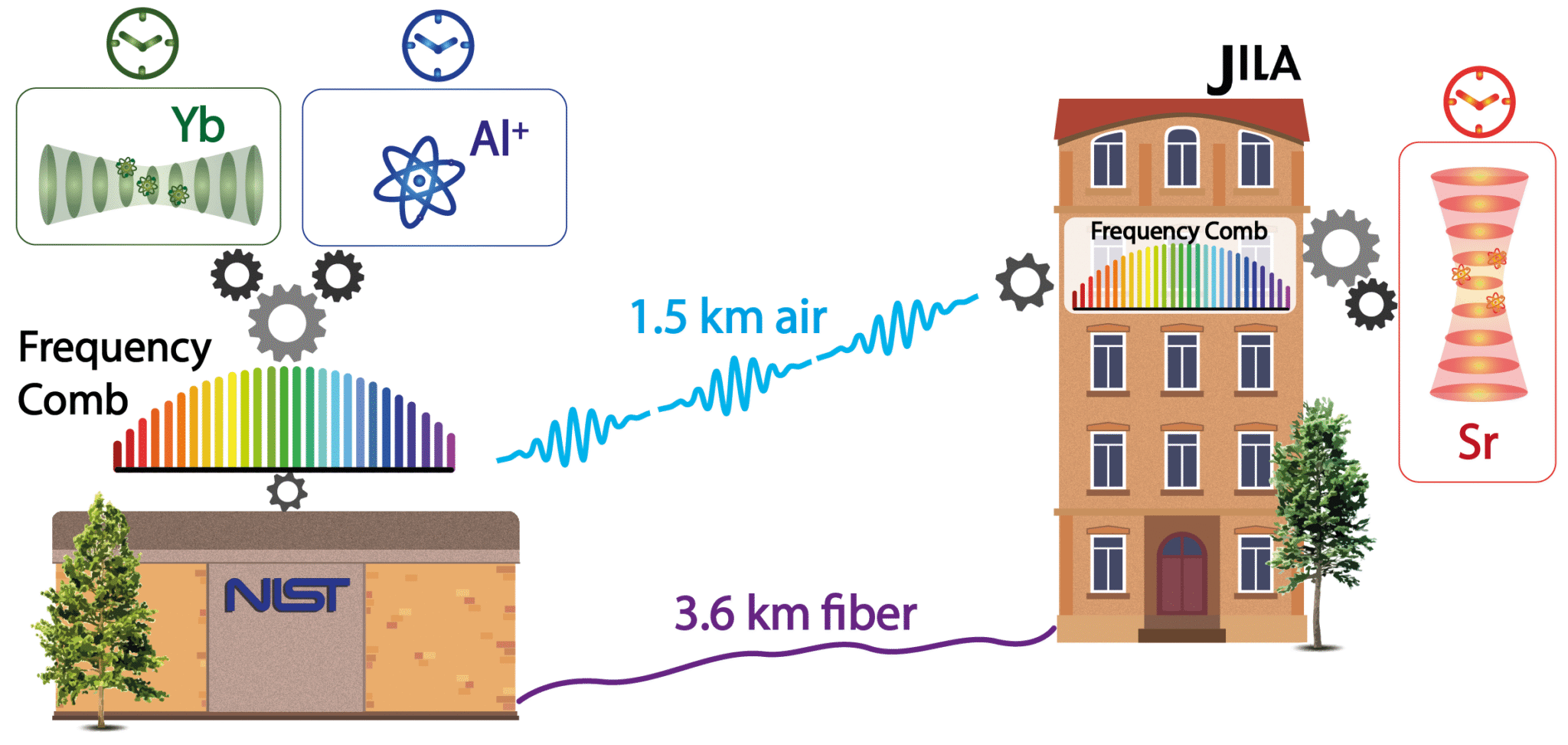 BACON Network Links Optical Clocks with Menlo Systems